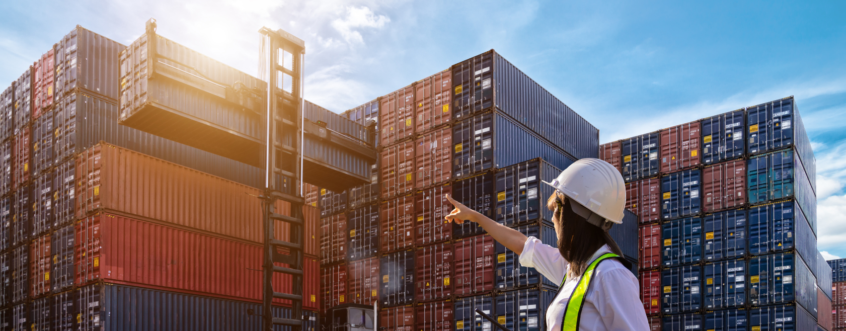 Top 5 Supply Chain Risks for 2025: Key Insights from Everstream ...